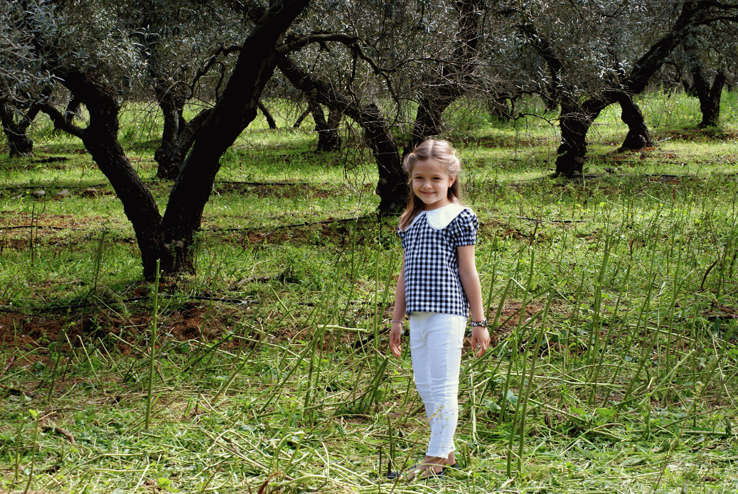 pikiliki – Ropa de diseño para niños y niñas desde todas las edades